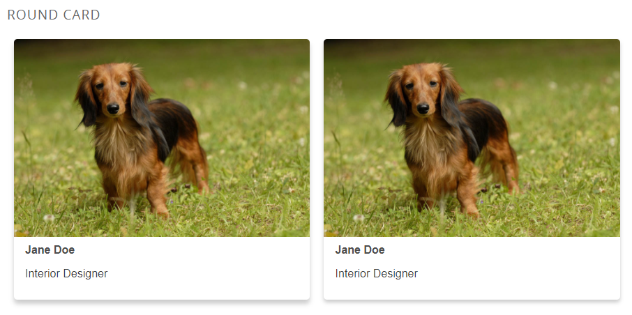 Adding a 2 | Column Card Layout | Triboo Customer Success Center